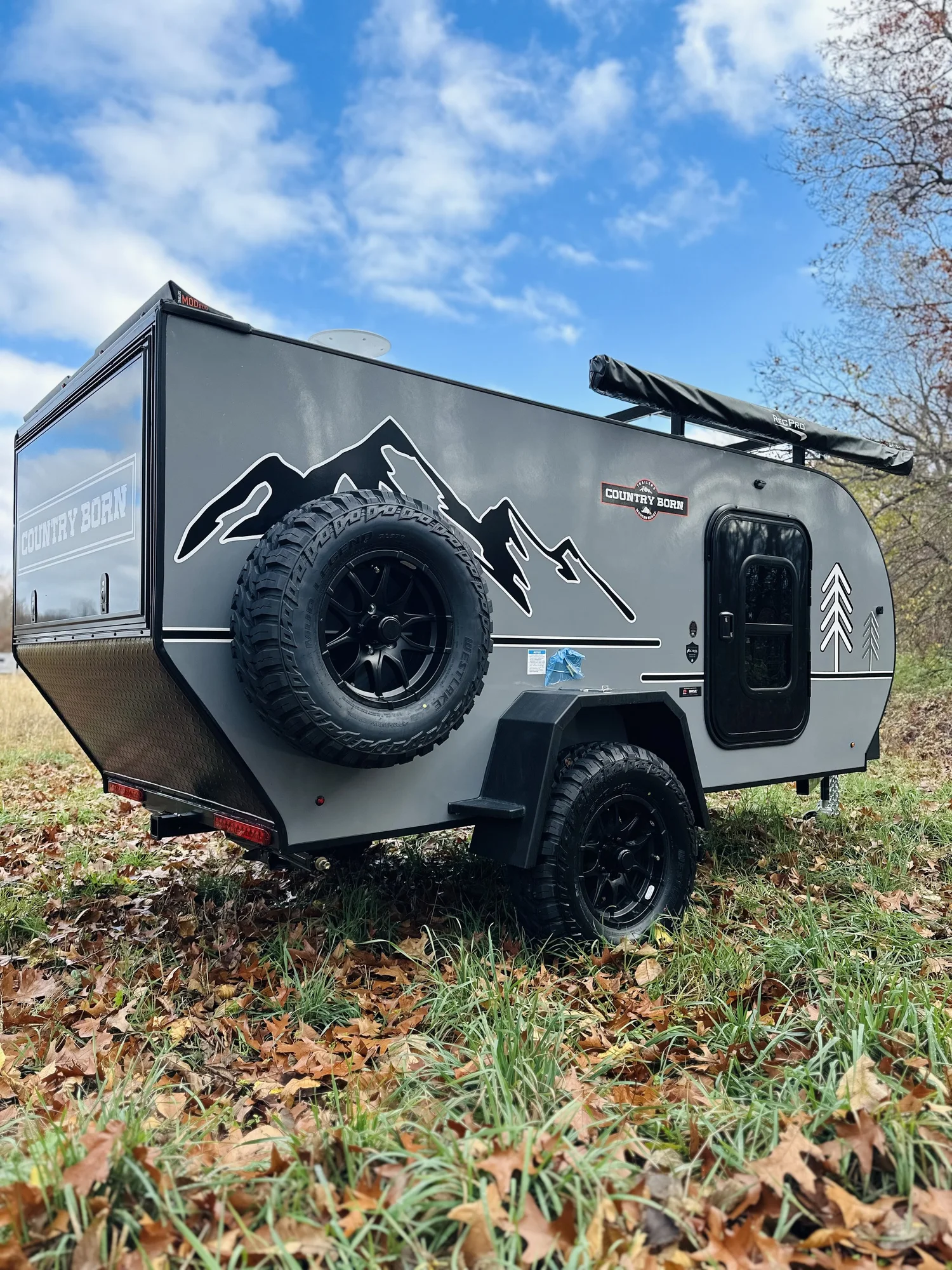 Country Born CB12 — Modern Buggy