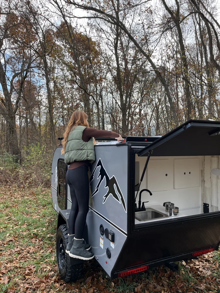Country Born CB12 — Modern Buggy