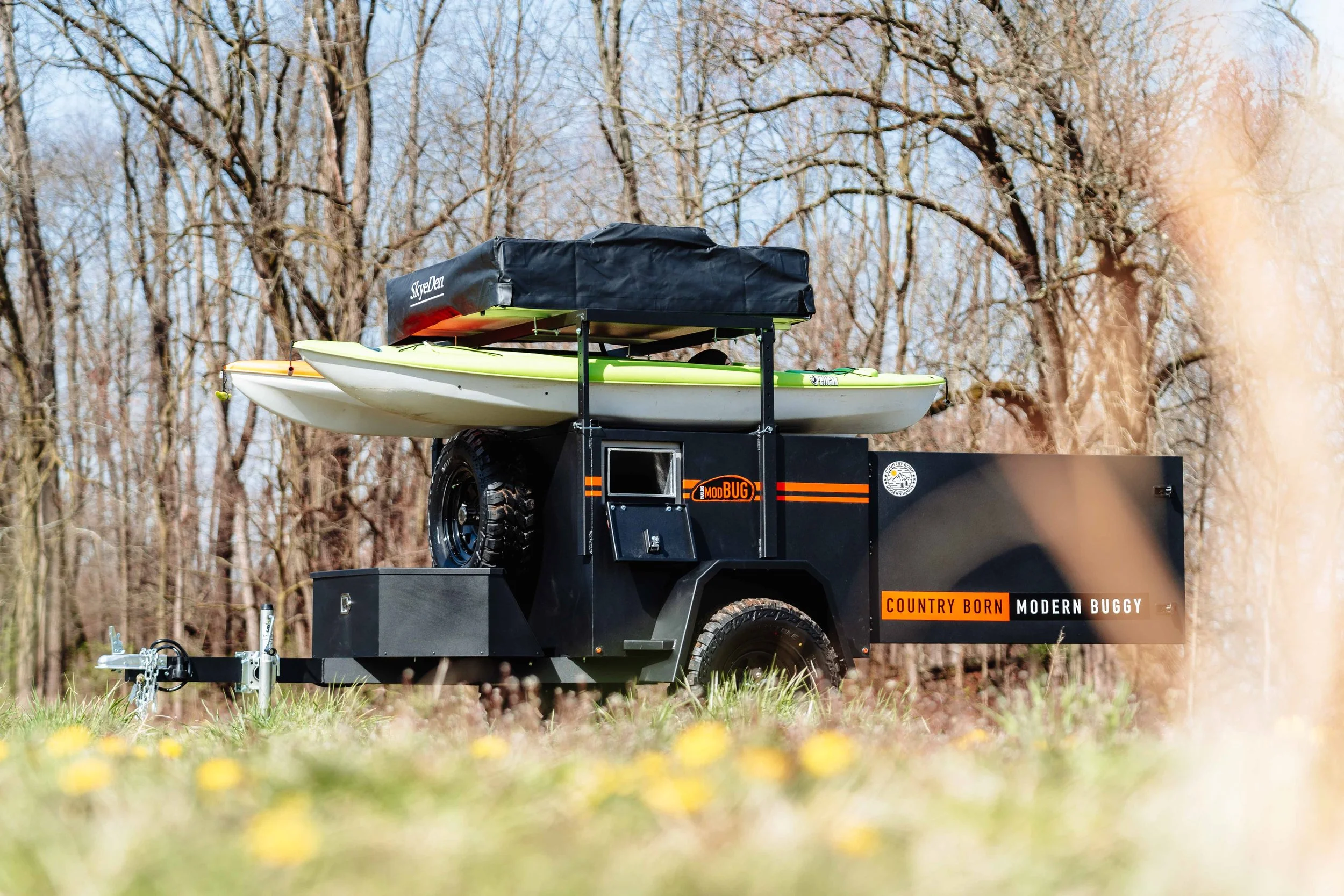 Modern Buggy