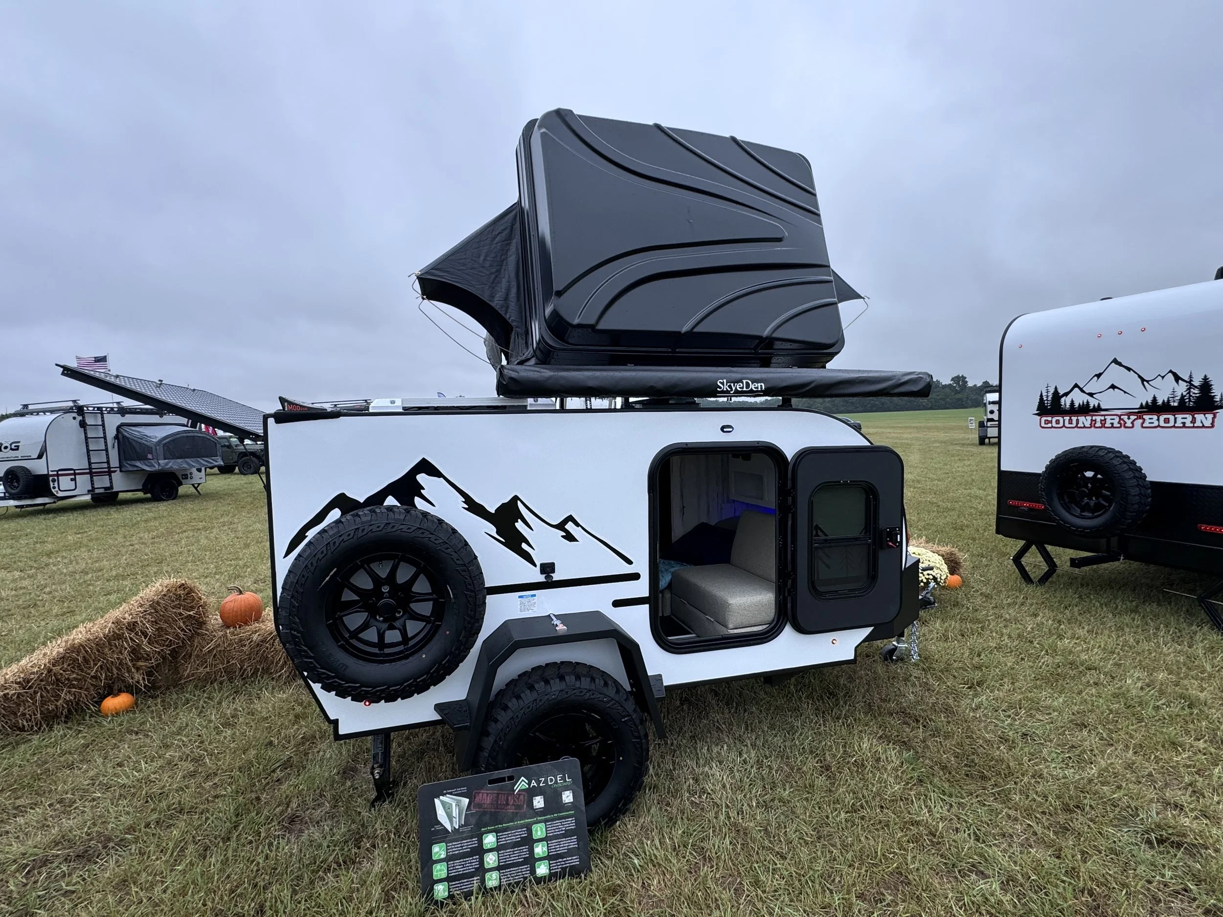 Country Born CB10 — Modern Buggy