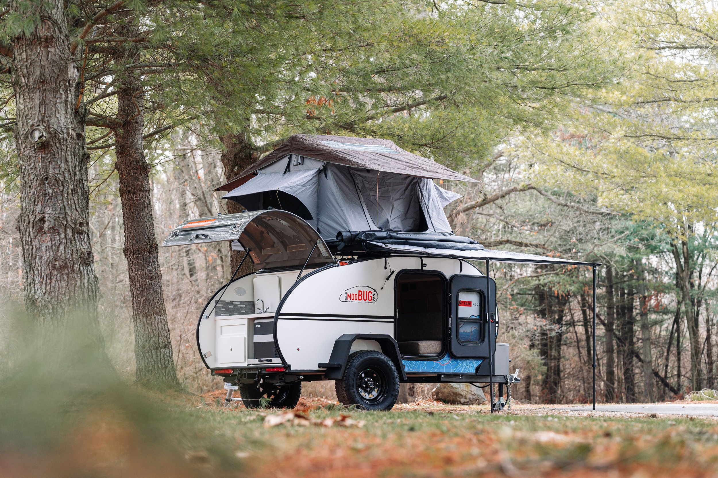 Little Buggy 10RK — Modern Buggy