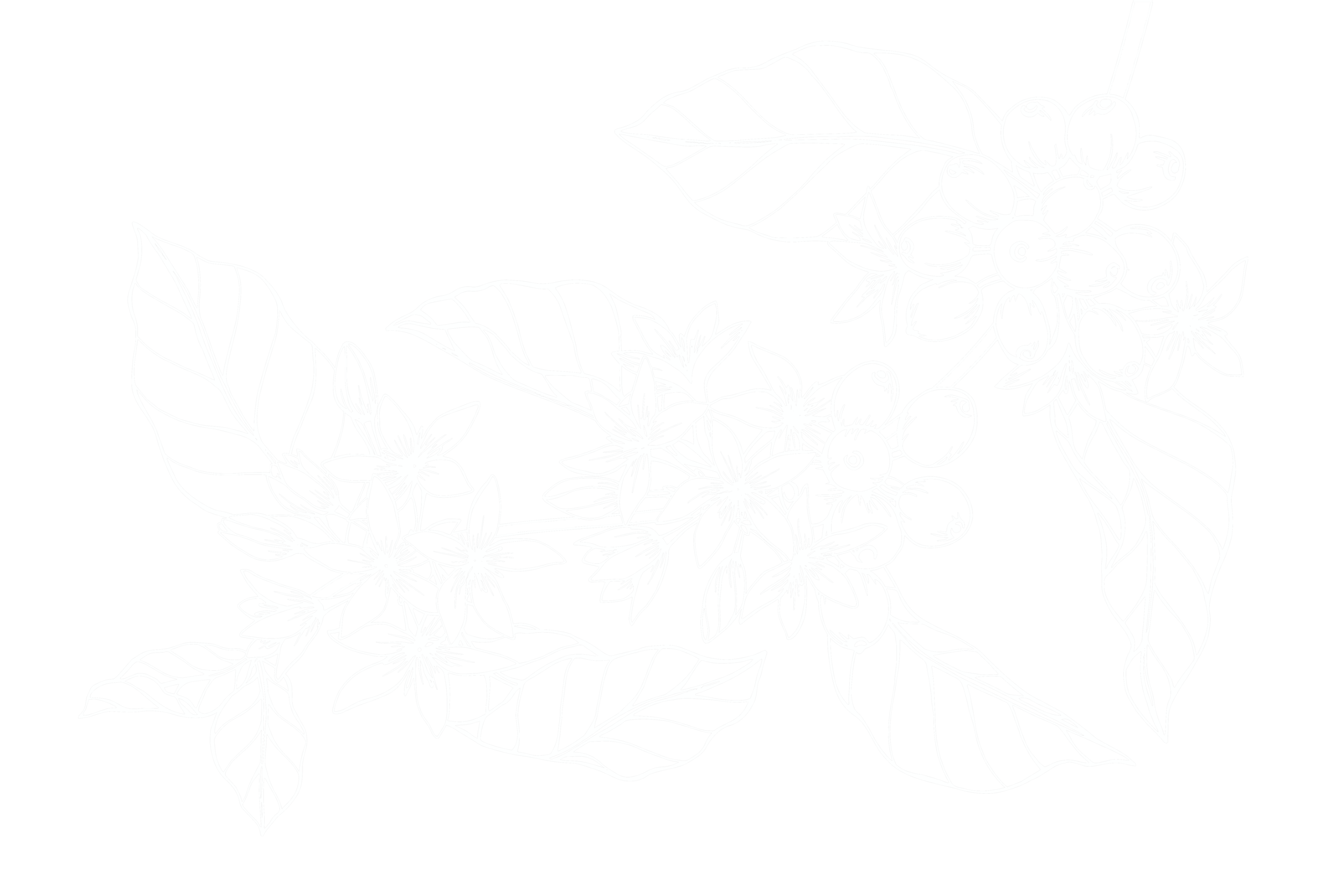 East Iceland Coffee Company | Premium Small Batch Coffee Roasted to ...