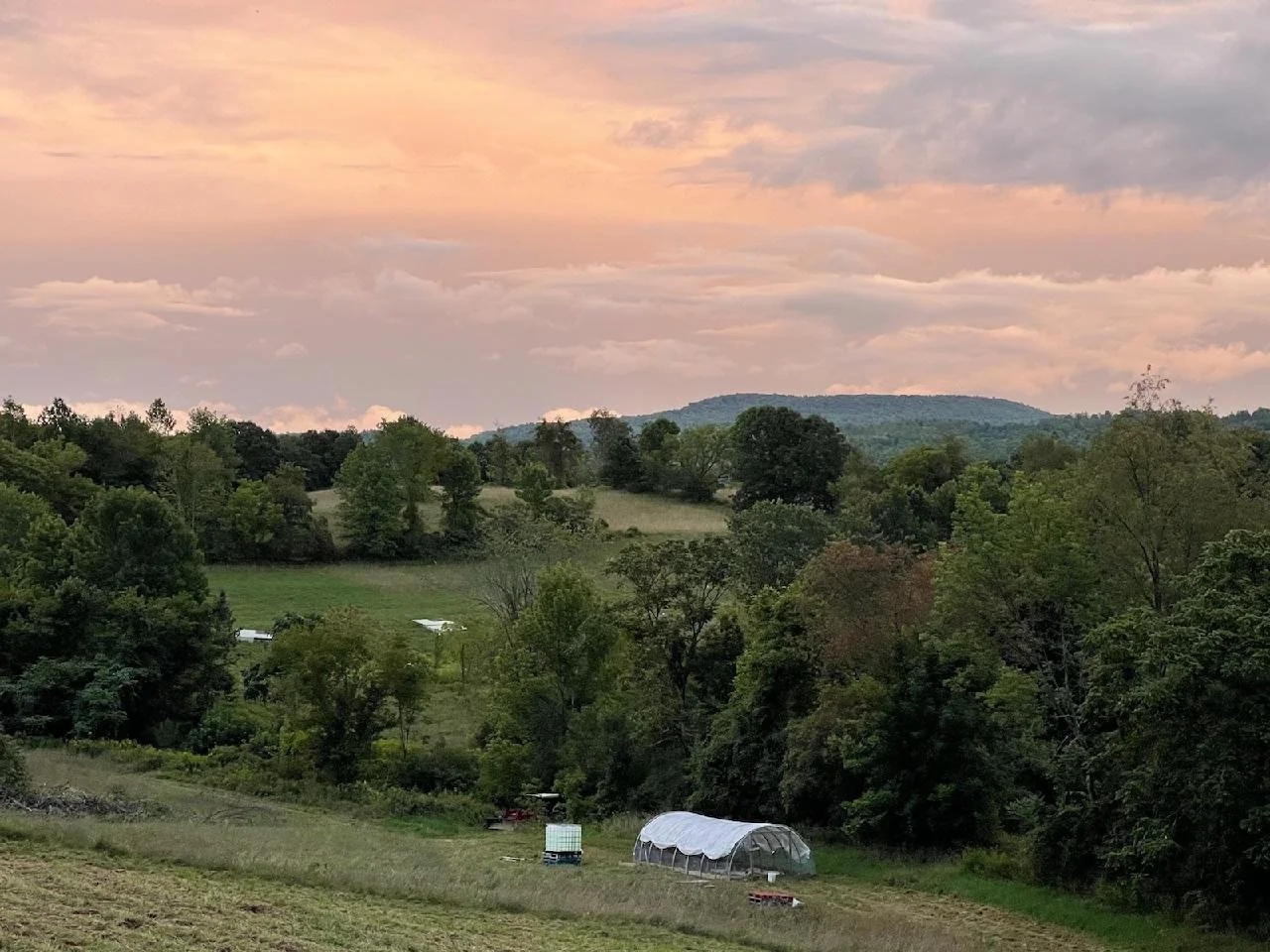 Hepatica Farm | Certified Organic Pastured Poultry