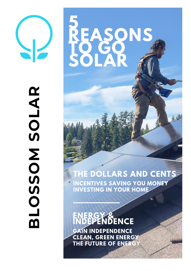 Washington State Solar Panel Installer | Blossom Solar