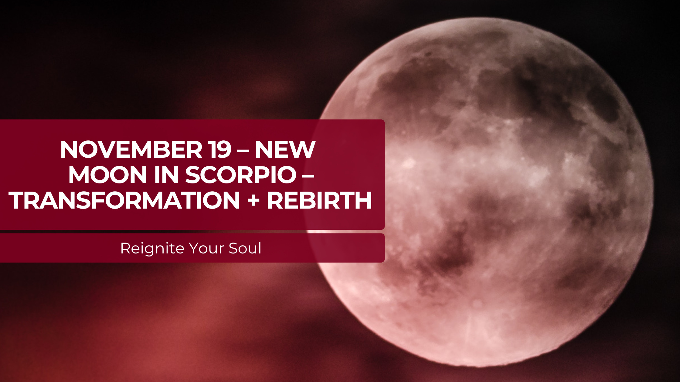 November 19 – New Moon in Scorpio – Transformation + Rebirth — Reignite ...