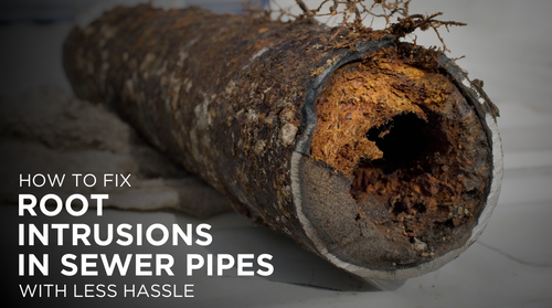 How to Fix Root Intrusions in Sewer Pipes (with less hassle) — T3 ...