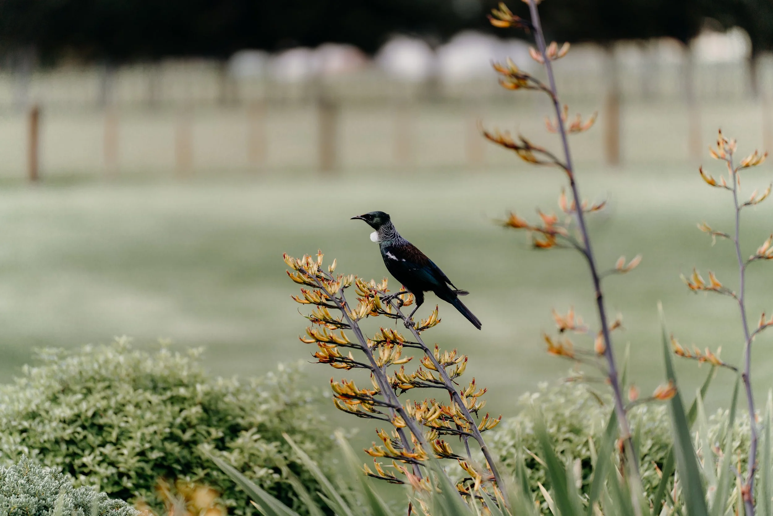 About — Makoura Lodge