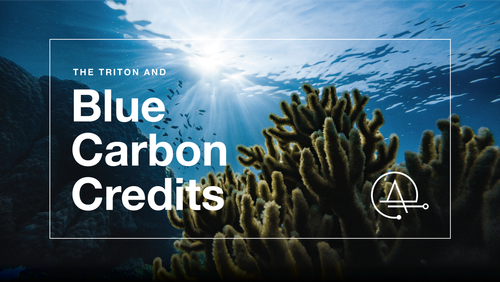 The TRITON: a Fundamental Tool for the Blue Carbon Credit System ...