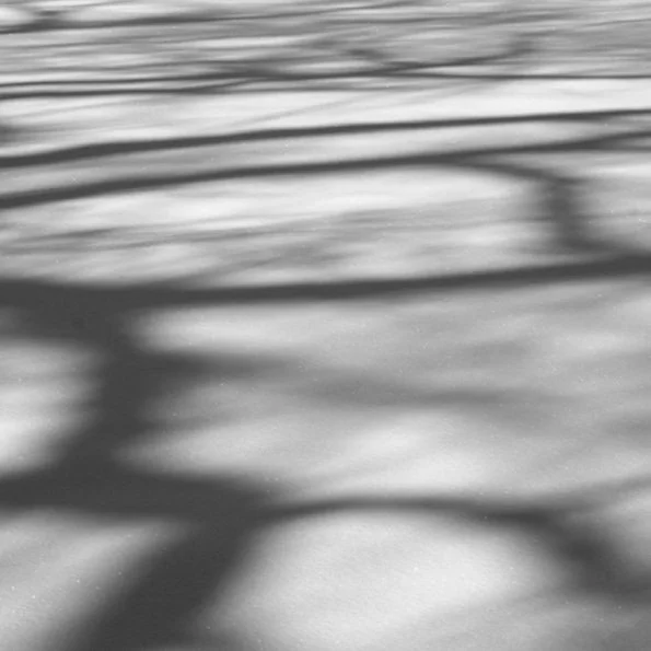 inspiration — assemblageSTUDIO