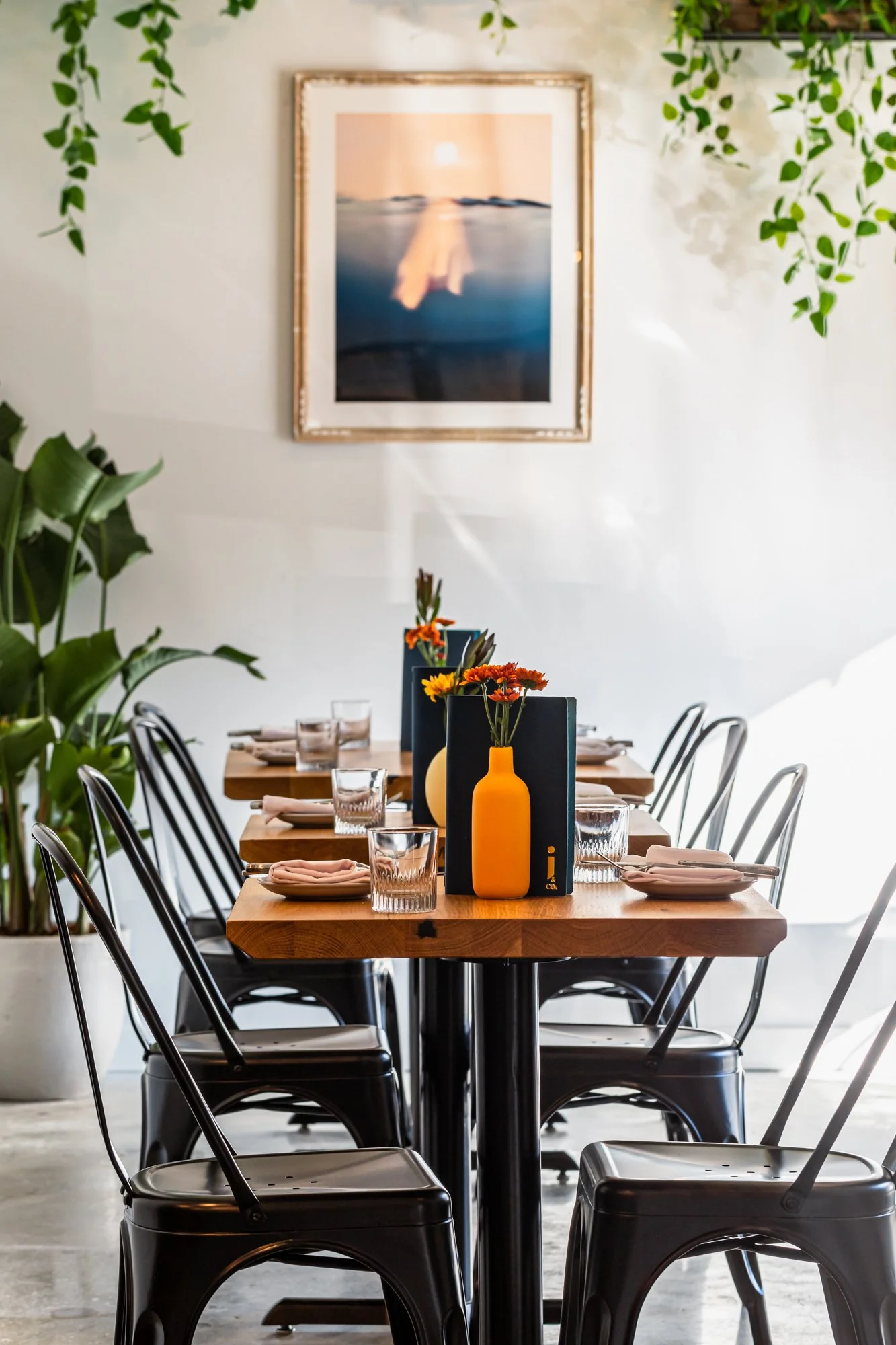 Isla & Co Reservations - Private Dinner & Events