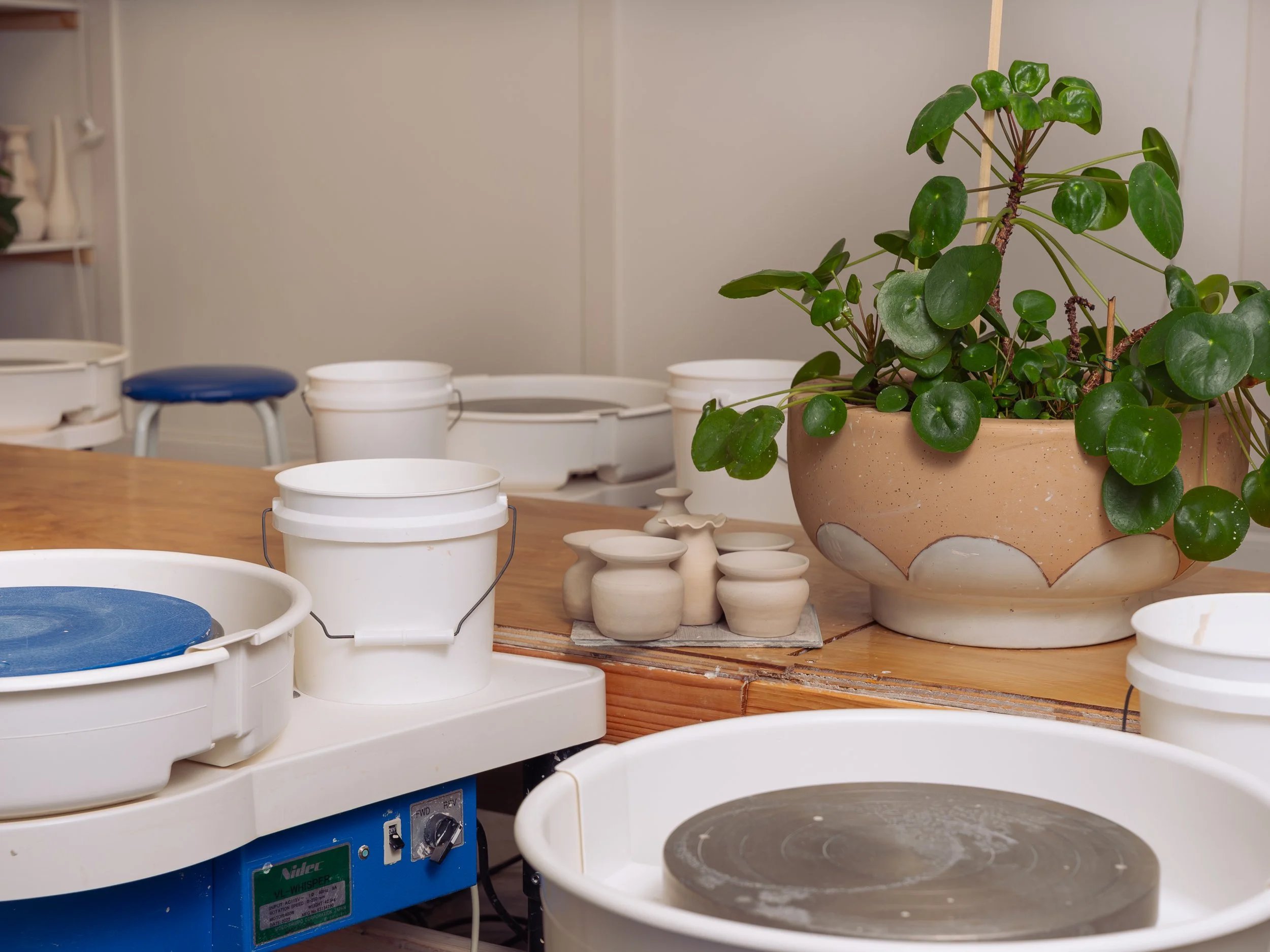 Sandy Pottery