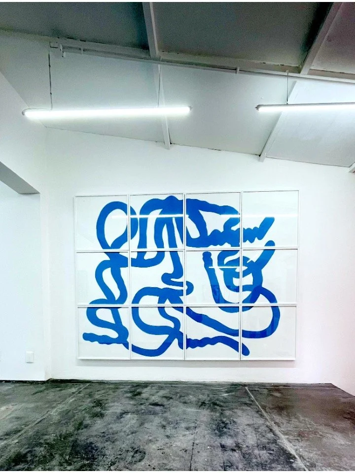 Lotus & Drums - Daniel Berman — CAM Galería