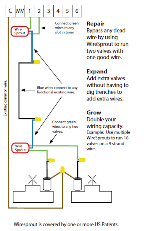 Our Story — WireSprout
