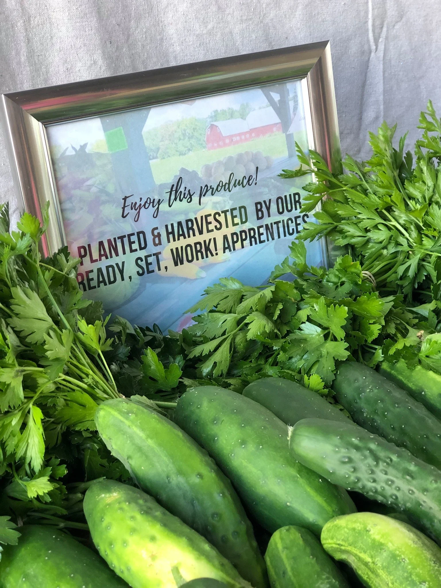 Welcome to Homesteads for Hope's Community Farm