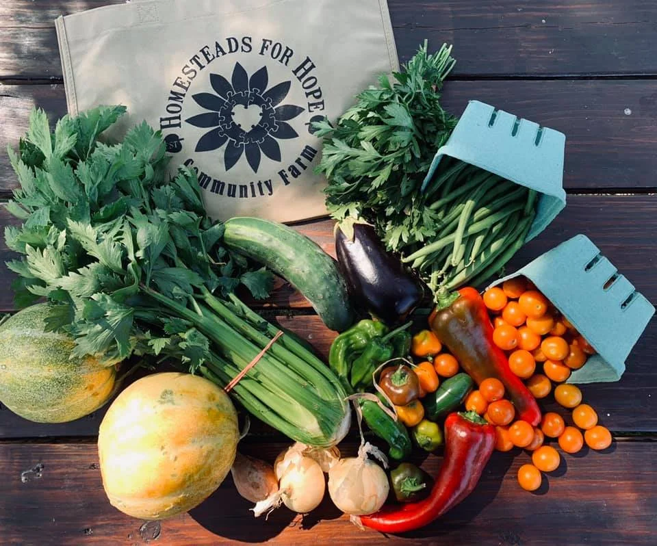 Welcome to Homesteads for Hope's Community Farm