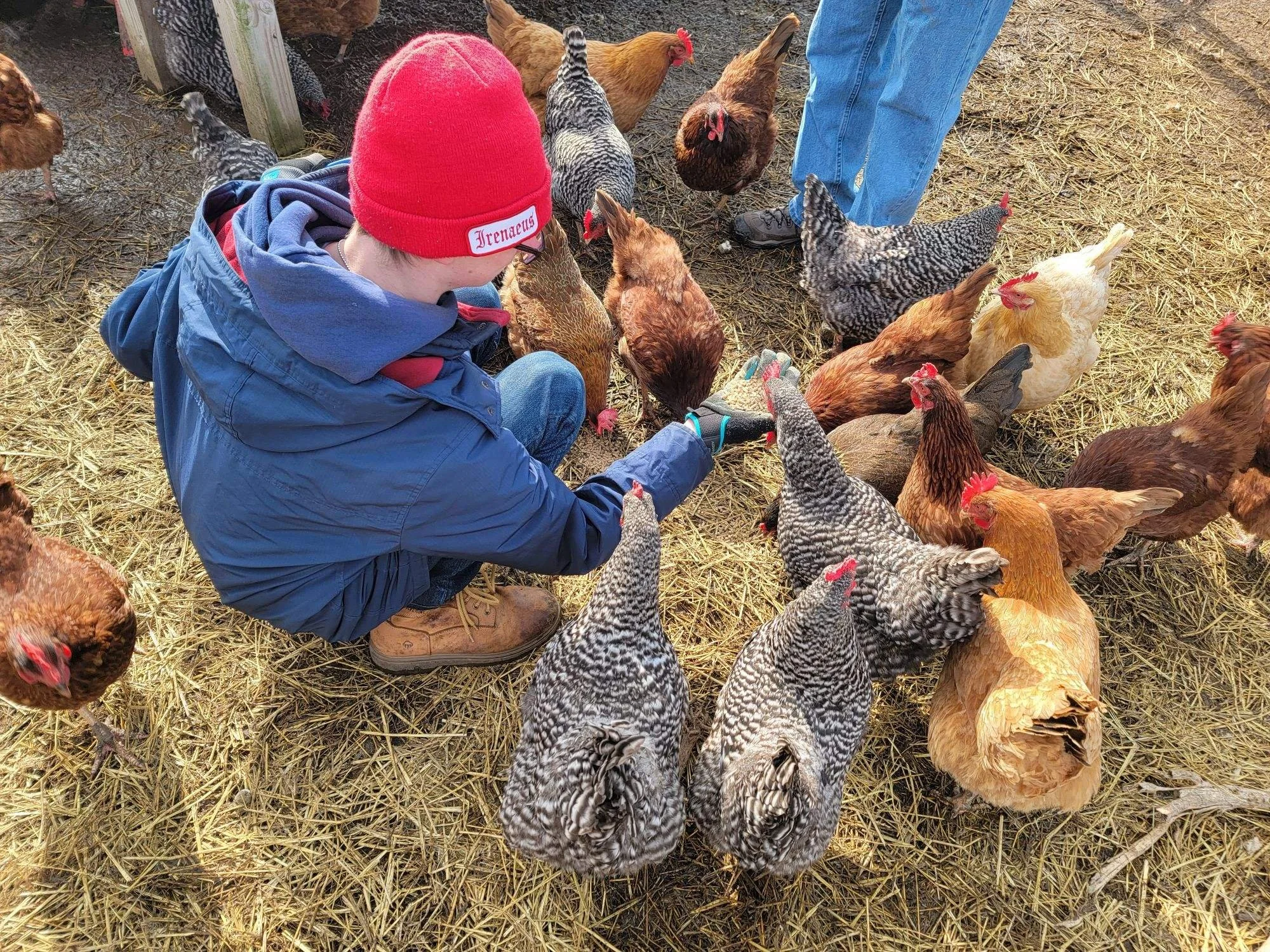 Welcome to Homesteads for Hope's Community Farm