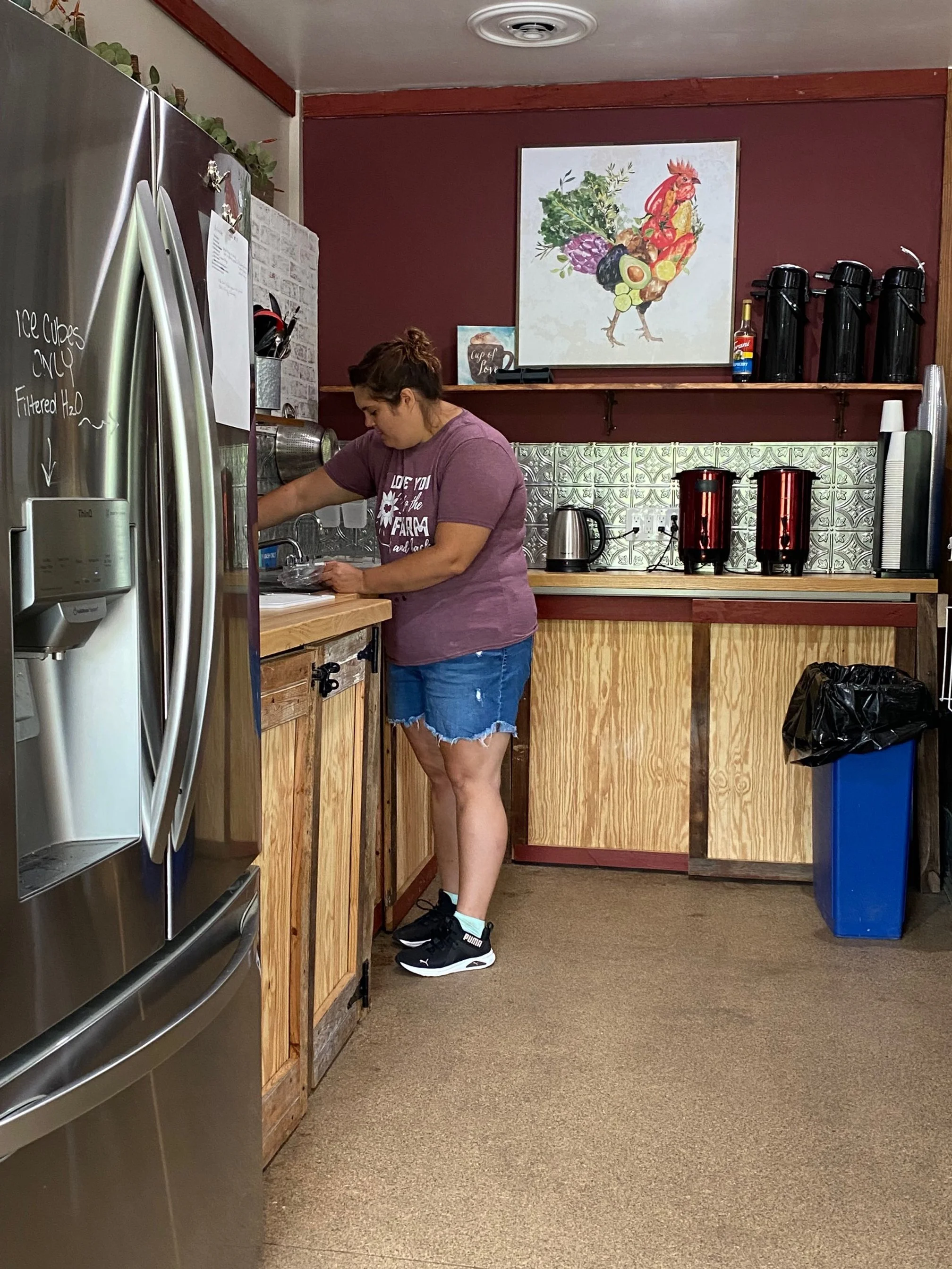 Welcome to Homesteads for Hope's Community Farm