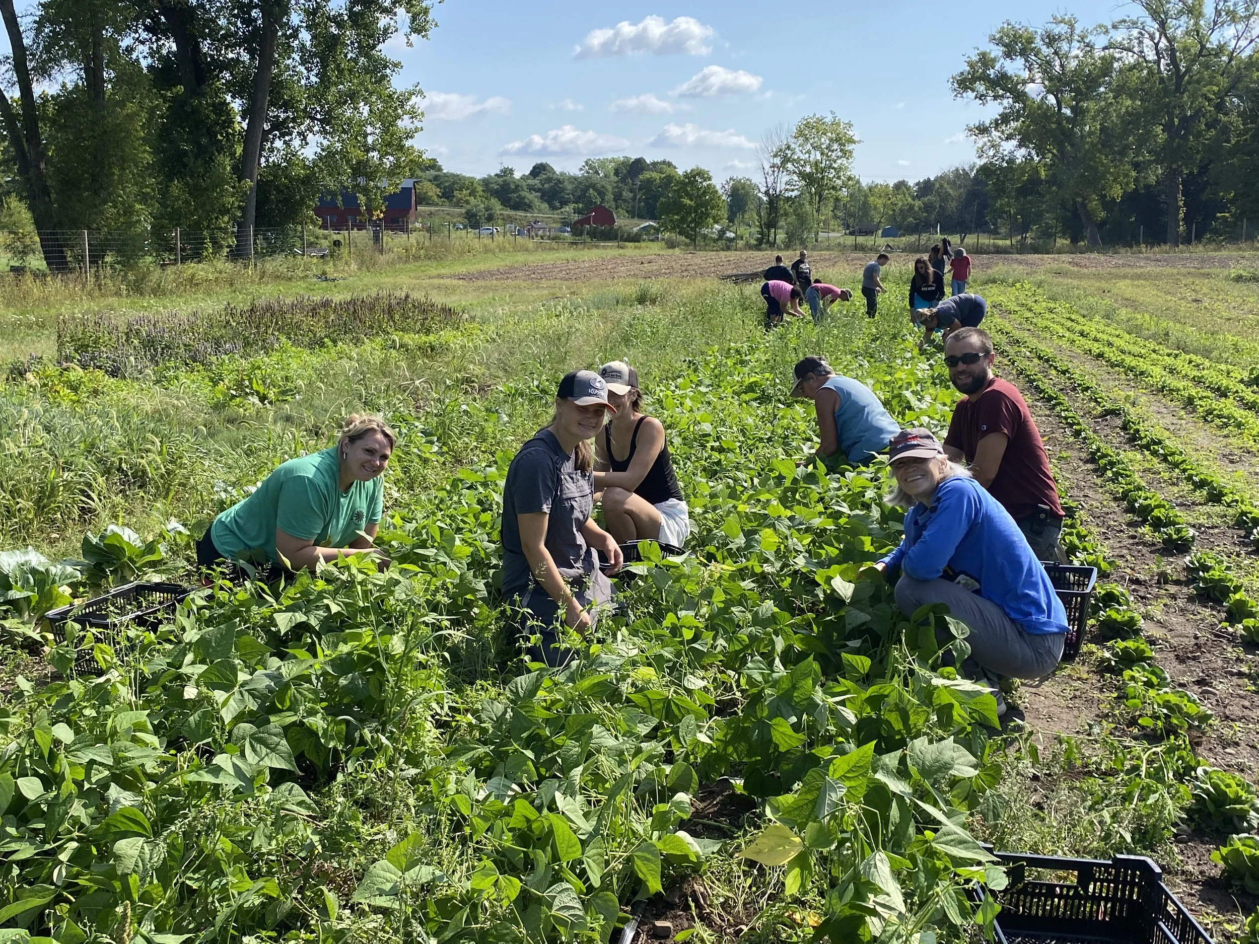 Welcome to Homesteads for Hope's Community Farm