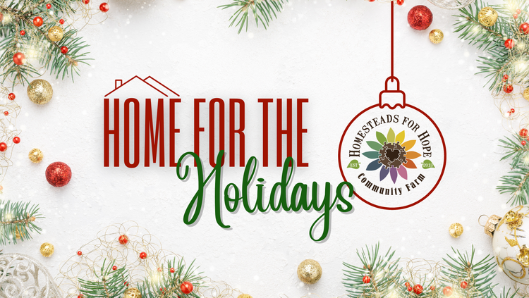 Welcome to Homesteads for Hope's Community Farm