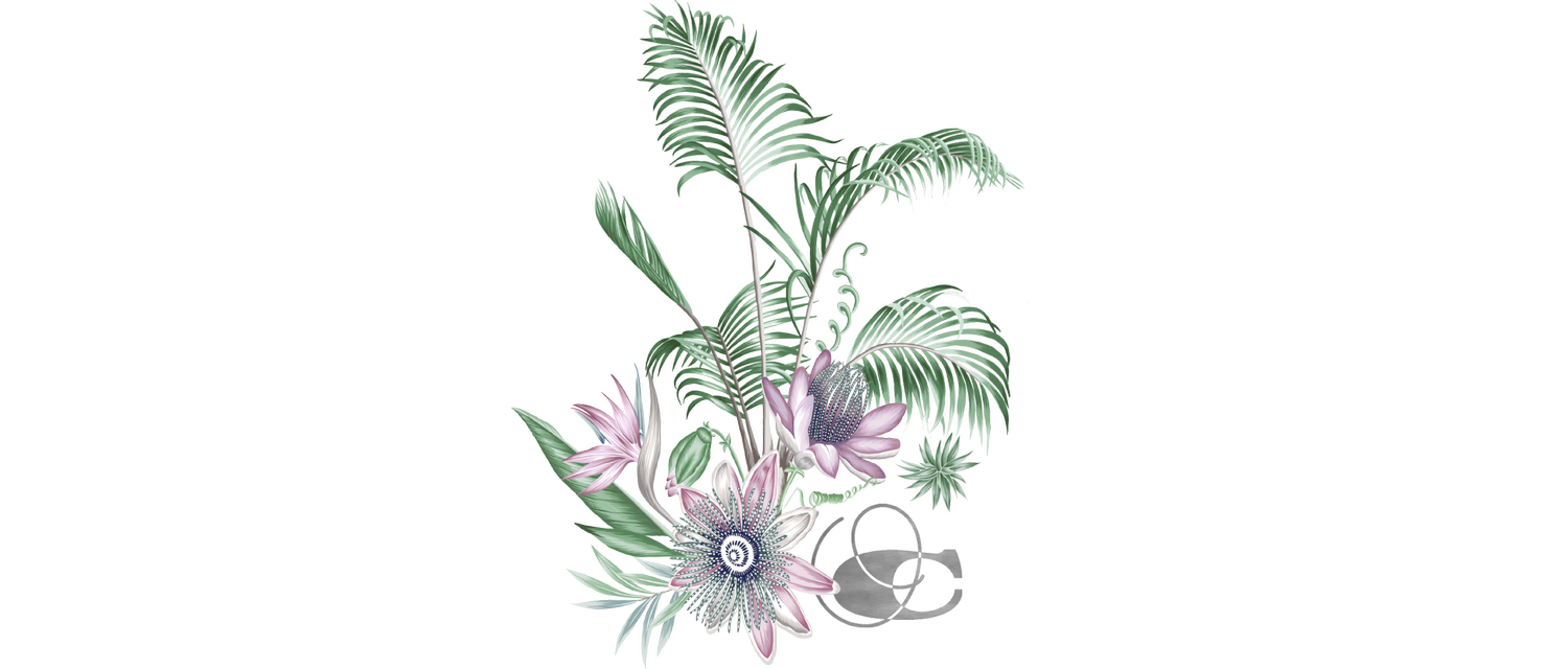 Australian Bloom Wallpaper – Hand-Illustrated Native Floral Mural ...