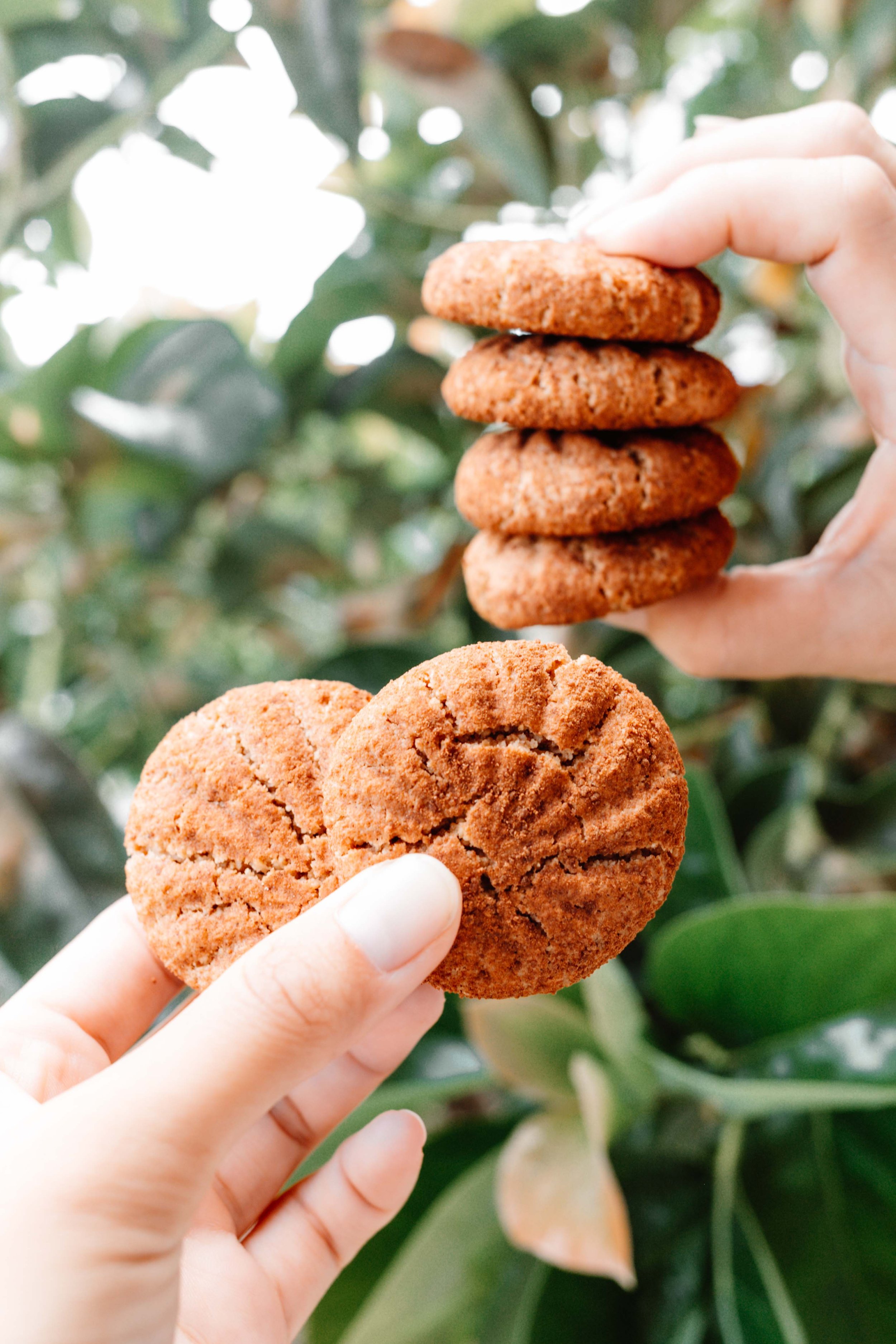 'Ulu & Kalo Bakery
