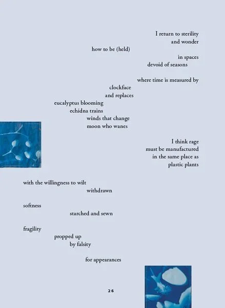 Our Dreaming — Kirli Saunders, Proud Gunai Woman and Award-Winning ...