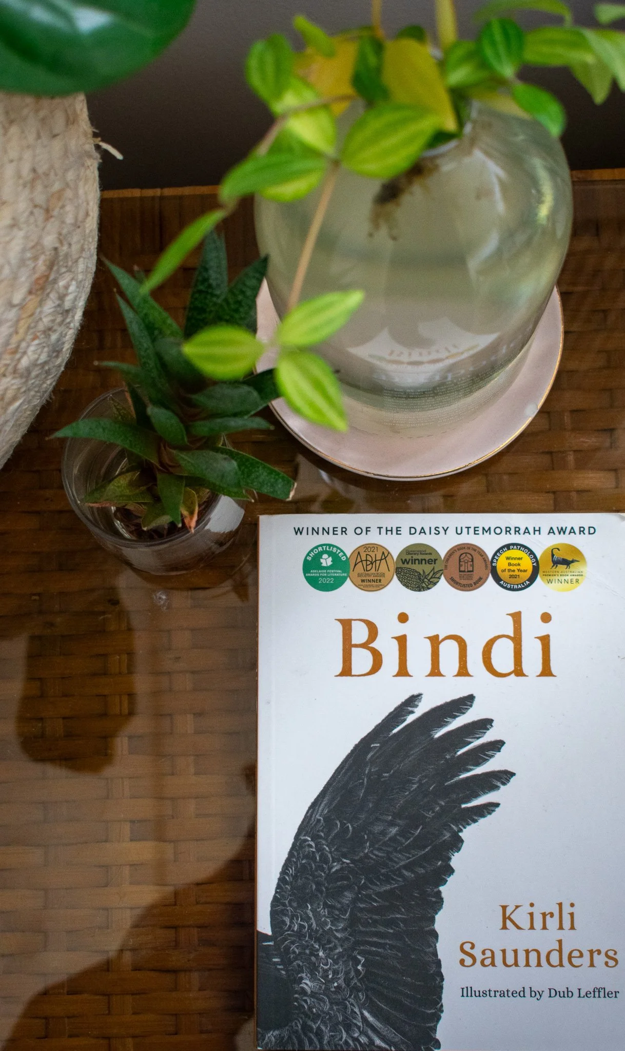 Our Dreaming — Kirli Saunders, Proud Gunai Woman and Award-Winning ...