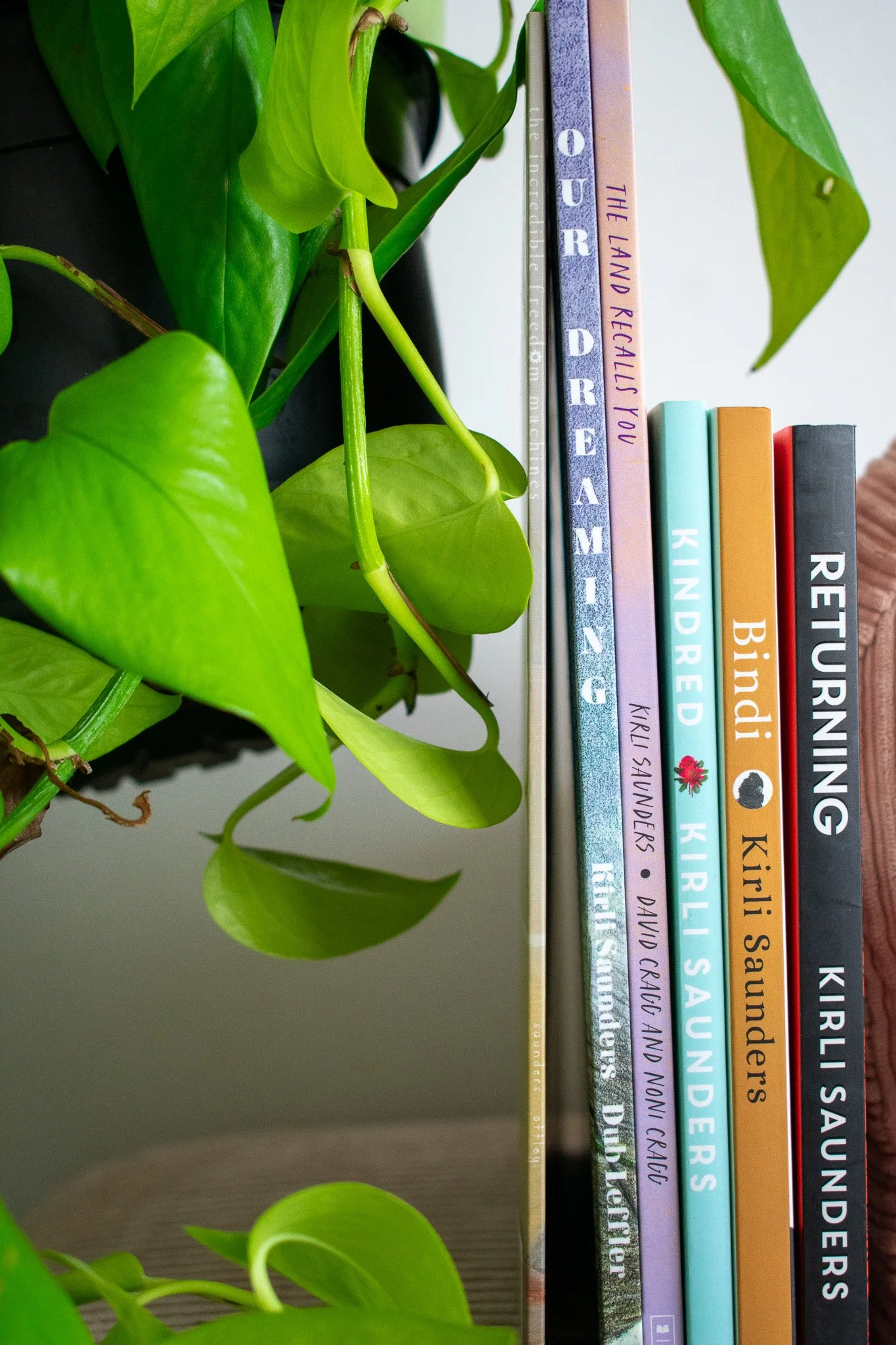 Our Dreaming — Kirli Saunders, Proud Gunai Woman and Award-Winning ...