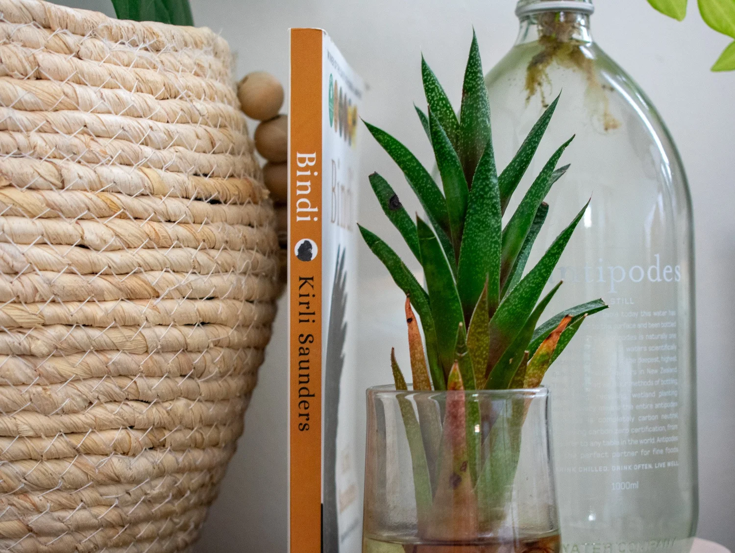 The Land Recalls You — Kirli Saunders, Proud Gunai Woman and Award ...