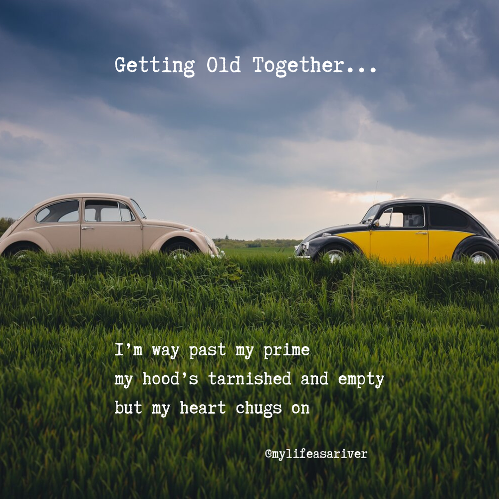 Getting Old Together — My Life as A River