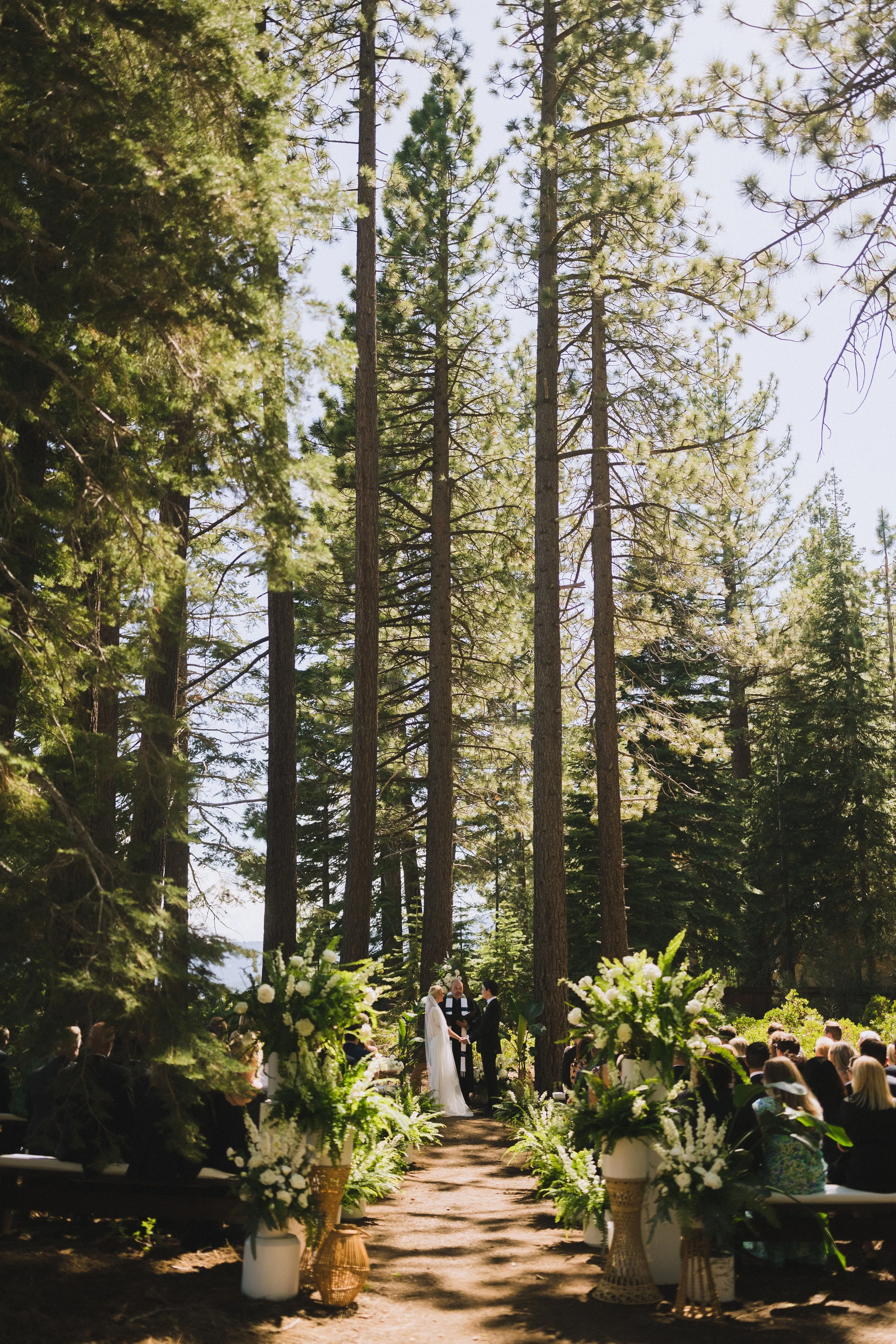 Modern Wedding & Event Florist Serving Truckee, Lake Tahoe, Reno ...