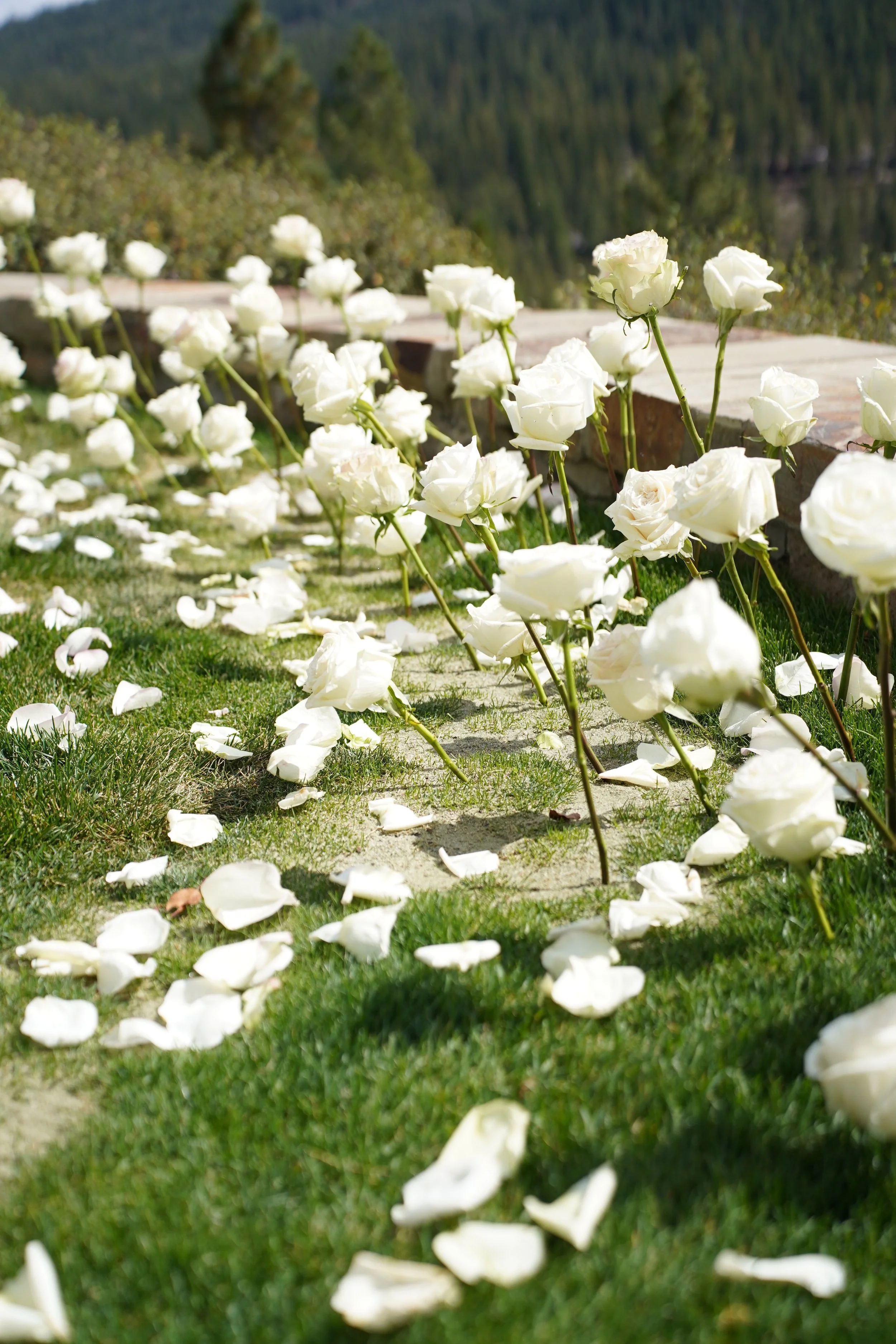 Modern Wedding & Event Florist Serving Truckee, Lake Tahoe, Reno ...