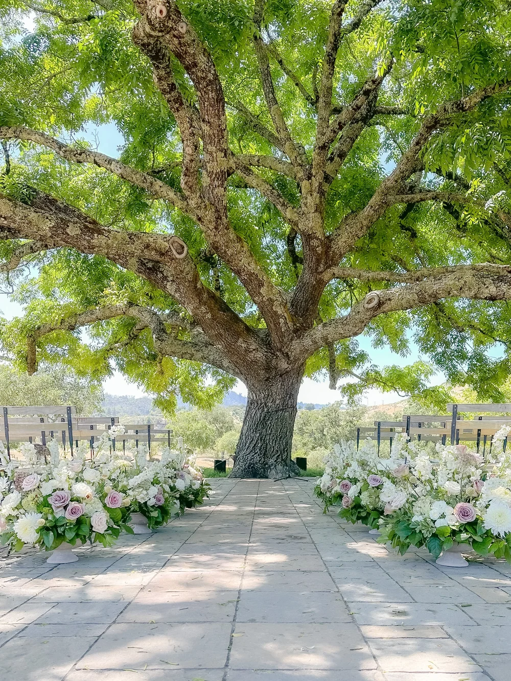 Modern Wedding & Event Florist Serving Truckee, Lake Tahoe, Reno ...