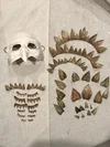 DIY masquerade mask - how we made the Baroness Talon mask for a ...