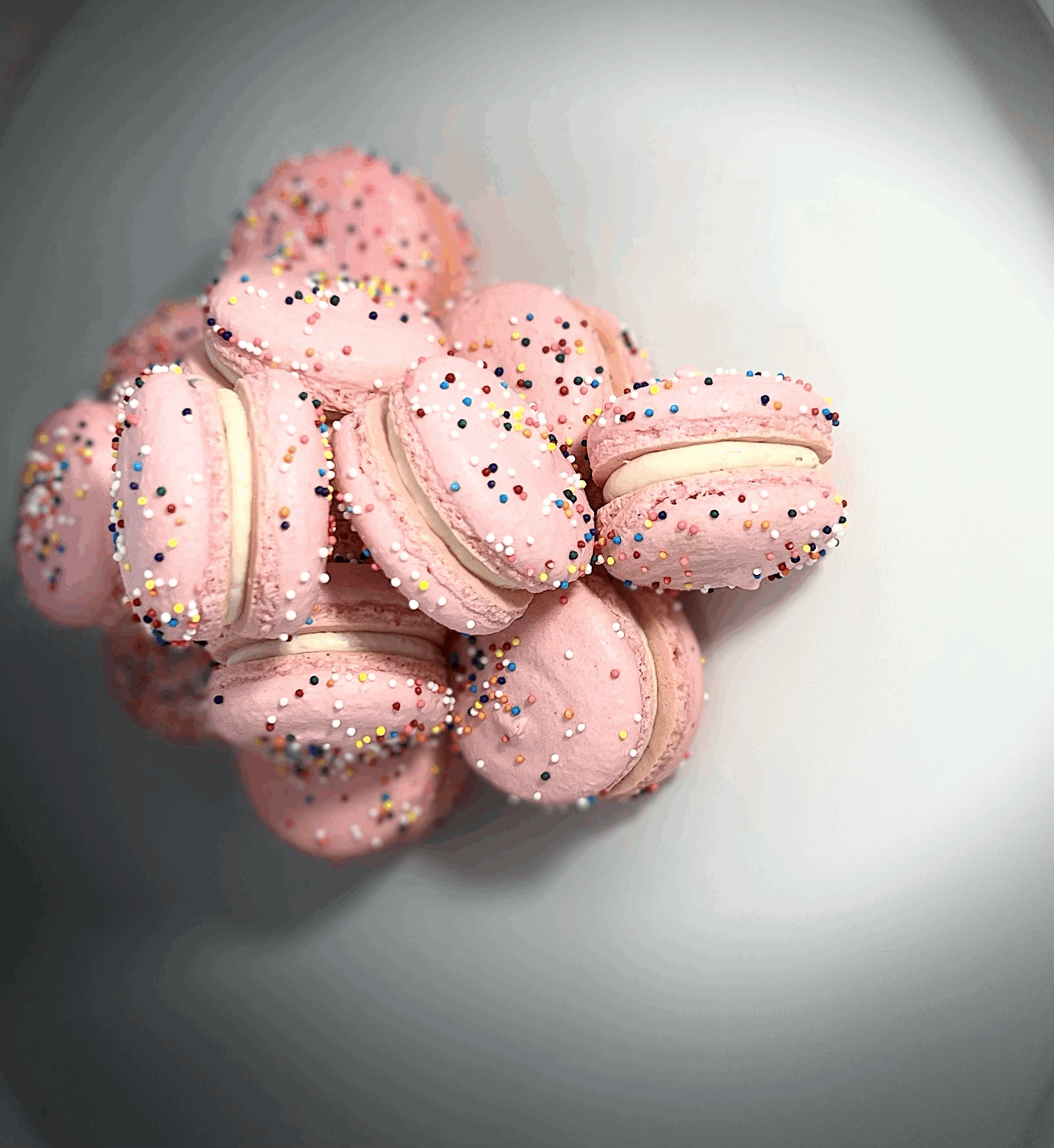 Shop Now — Aba Macarons
