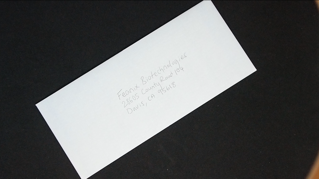 Hair Sample Collection Instructions — Feanix Info