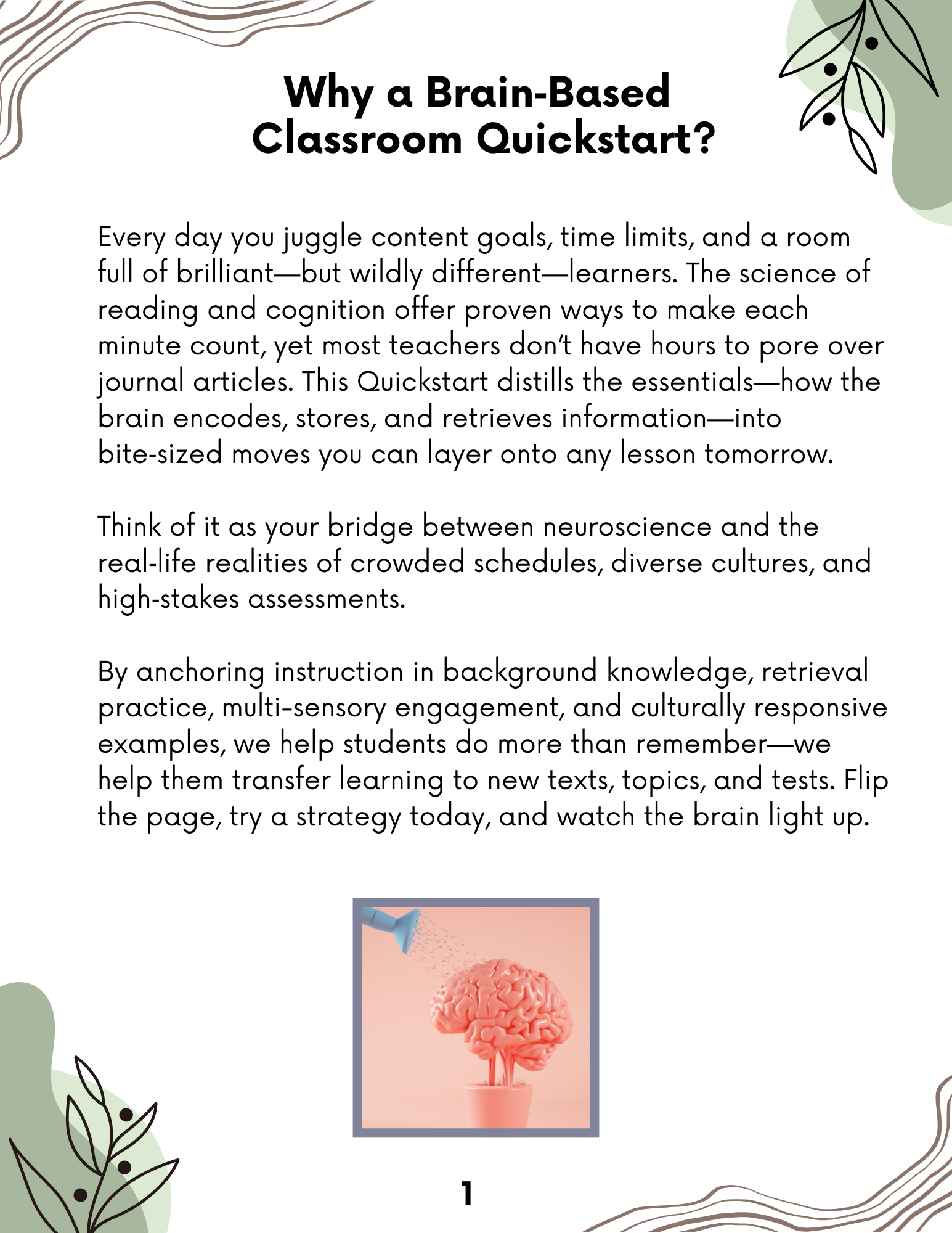 Transform Your Classroom with Brain-Based Teaching Strategies — Sabrina ...