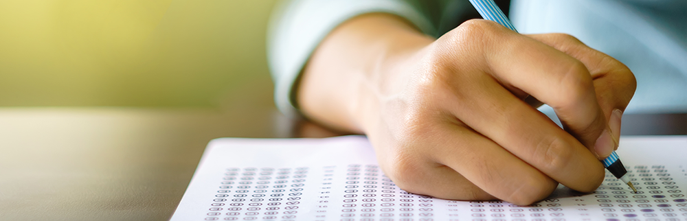 Self-Scoring COPSystem - VIA Paper Version — EdITS: Career Guidance and ...