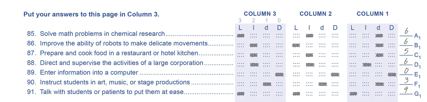 Self-Scoring COPSystem - VIA Paper Version — EdITS: Career Guidance and ...