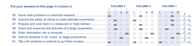 Self-Scoring COPSystem - VIA Paper Version — EdITS: Career Guidance and ...
