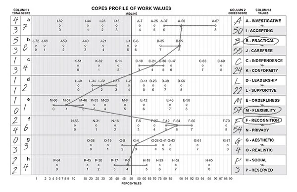 Self-Scoring COPSystem - VIA Paper Version — EdITS: Career Guidance and ...