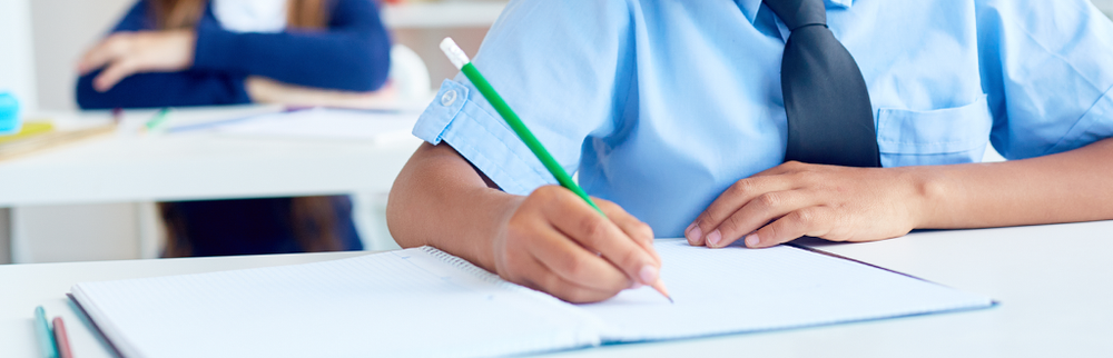 COPS Picture Interest Inventory (COPS-PIC) — EdITS: Career Guidance and ...