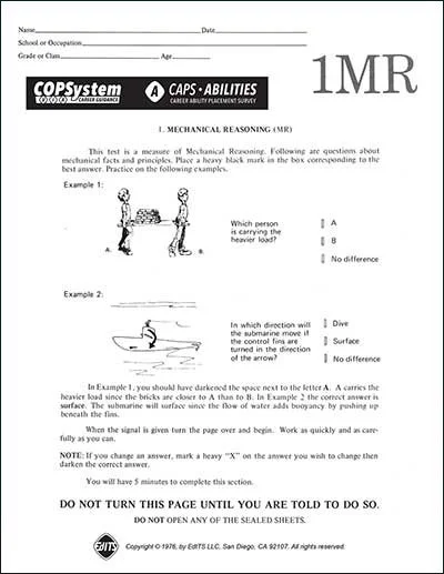 Self-Scoring COPSystem - VIA Paper Version — EdITS: Career Guidance and ...