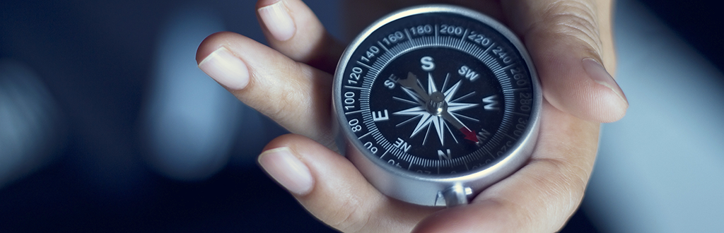 EdITS: Career Guidance and Psychological Assessments