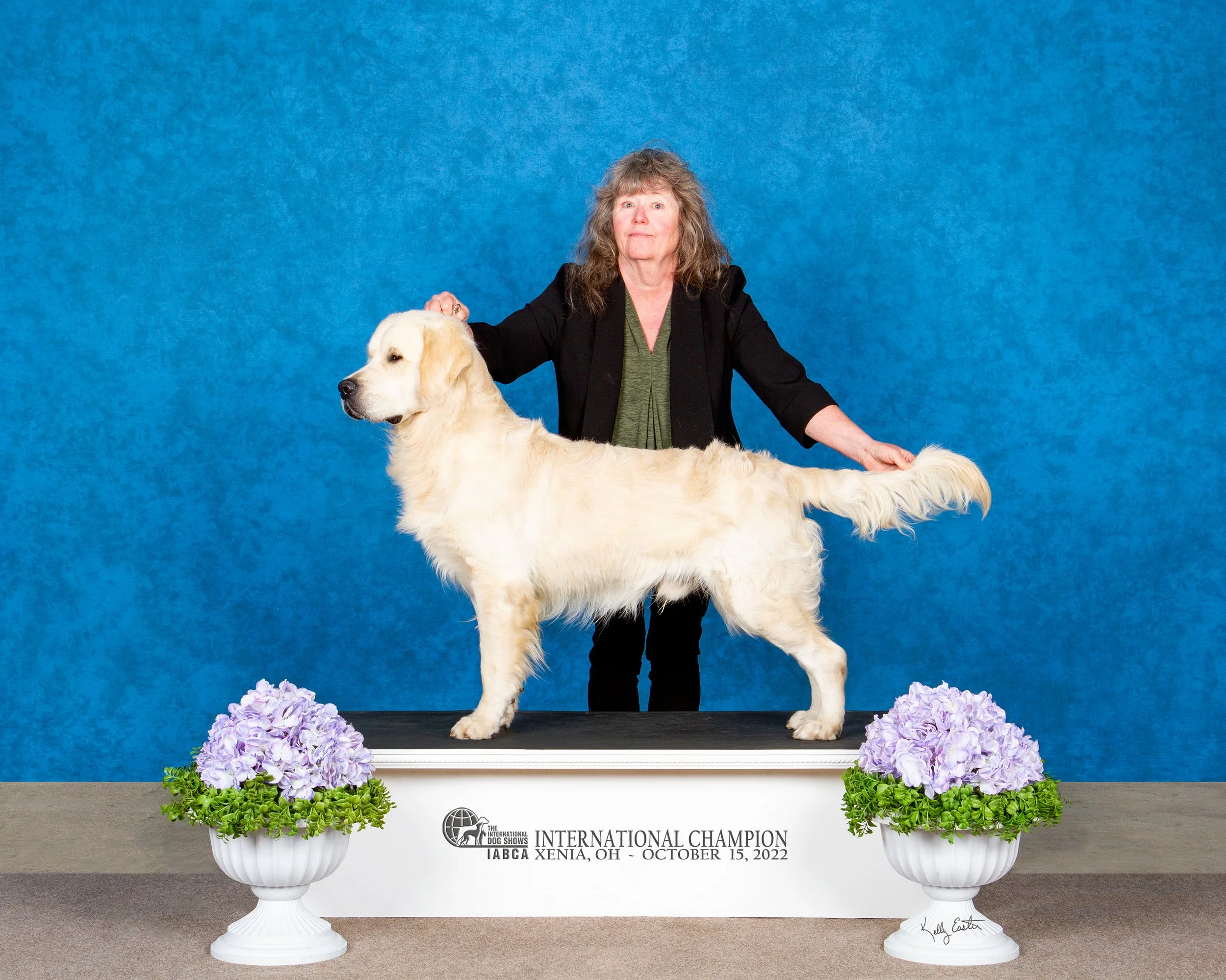 Wildfire - Family Raised Goldens — Golden Retriever Stud List