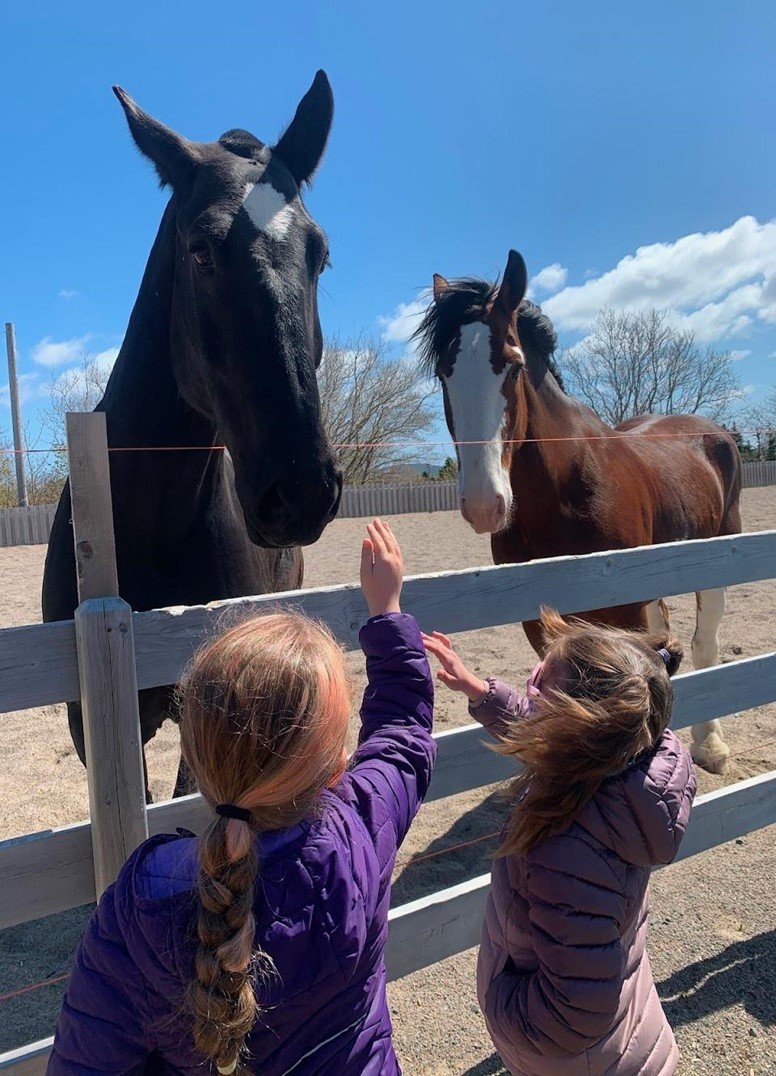 Pony Pals — Rainbow Riders