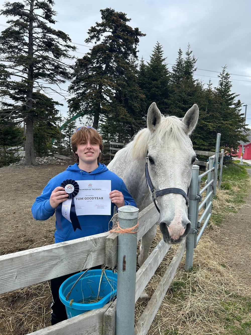 Volunteer — Rainbow Riders