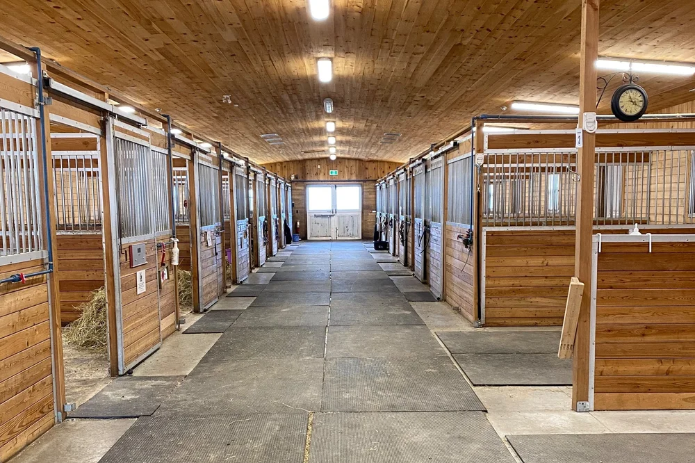 Programs — Rainbow Riders