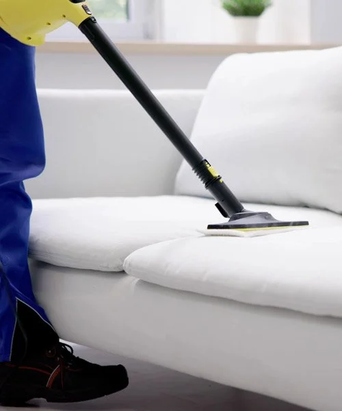 Our Process — Advanced Bed Bug Preparation