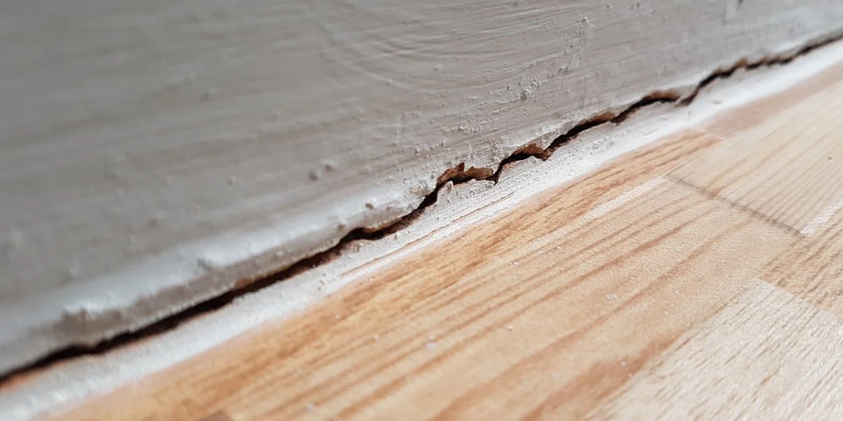 11 Ways to Prevent Bed Bugs